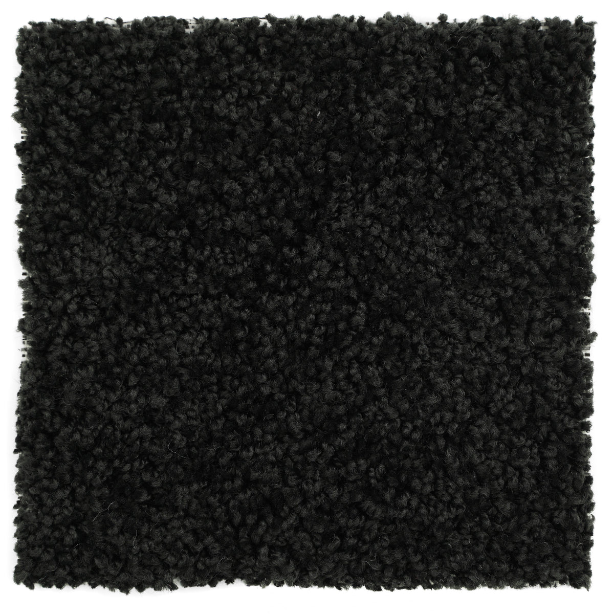12ft Wide Plush Event Carpet - Black — FloorEXP