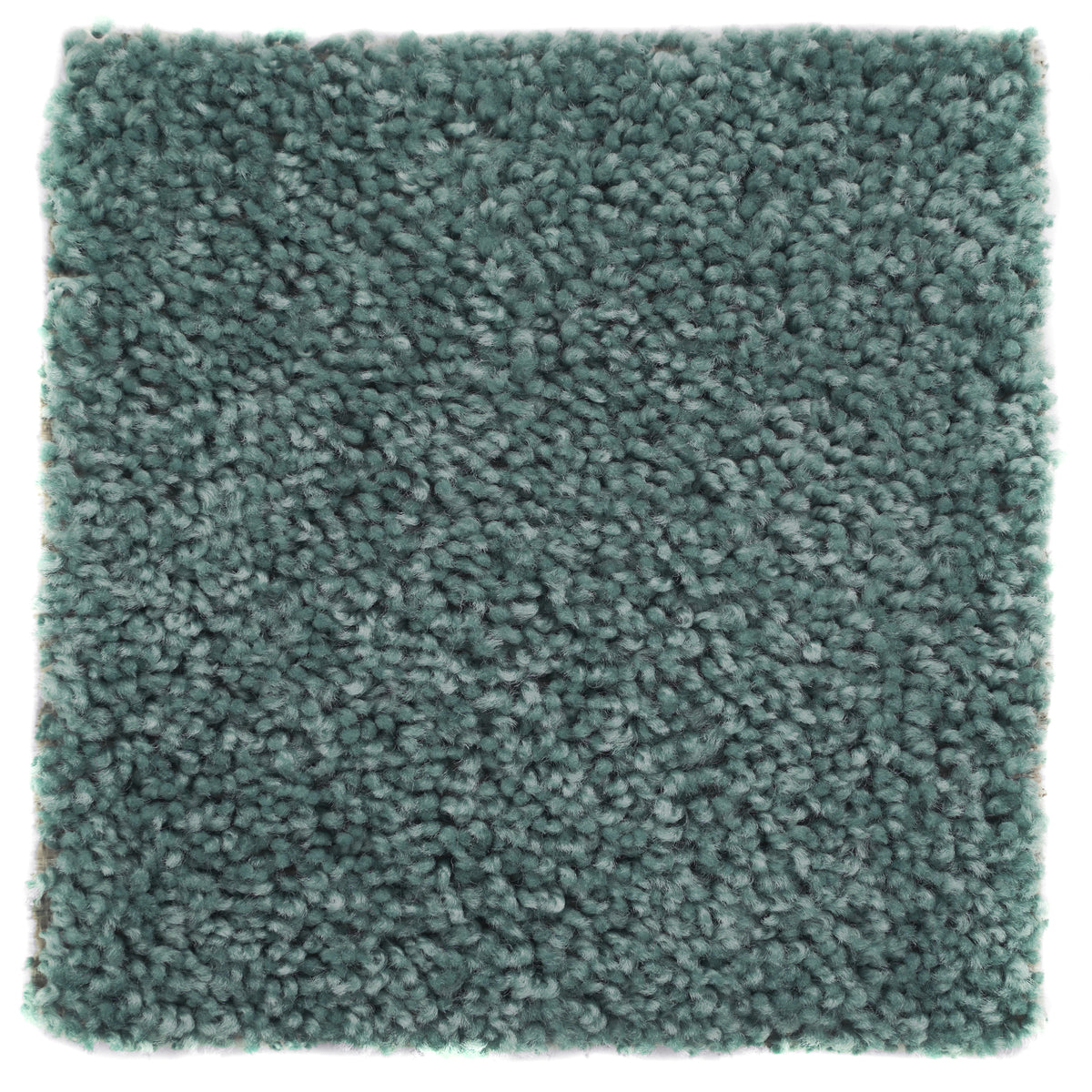 12ft Wide Plush Event Carpet - Caribbean — FloorEXP