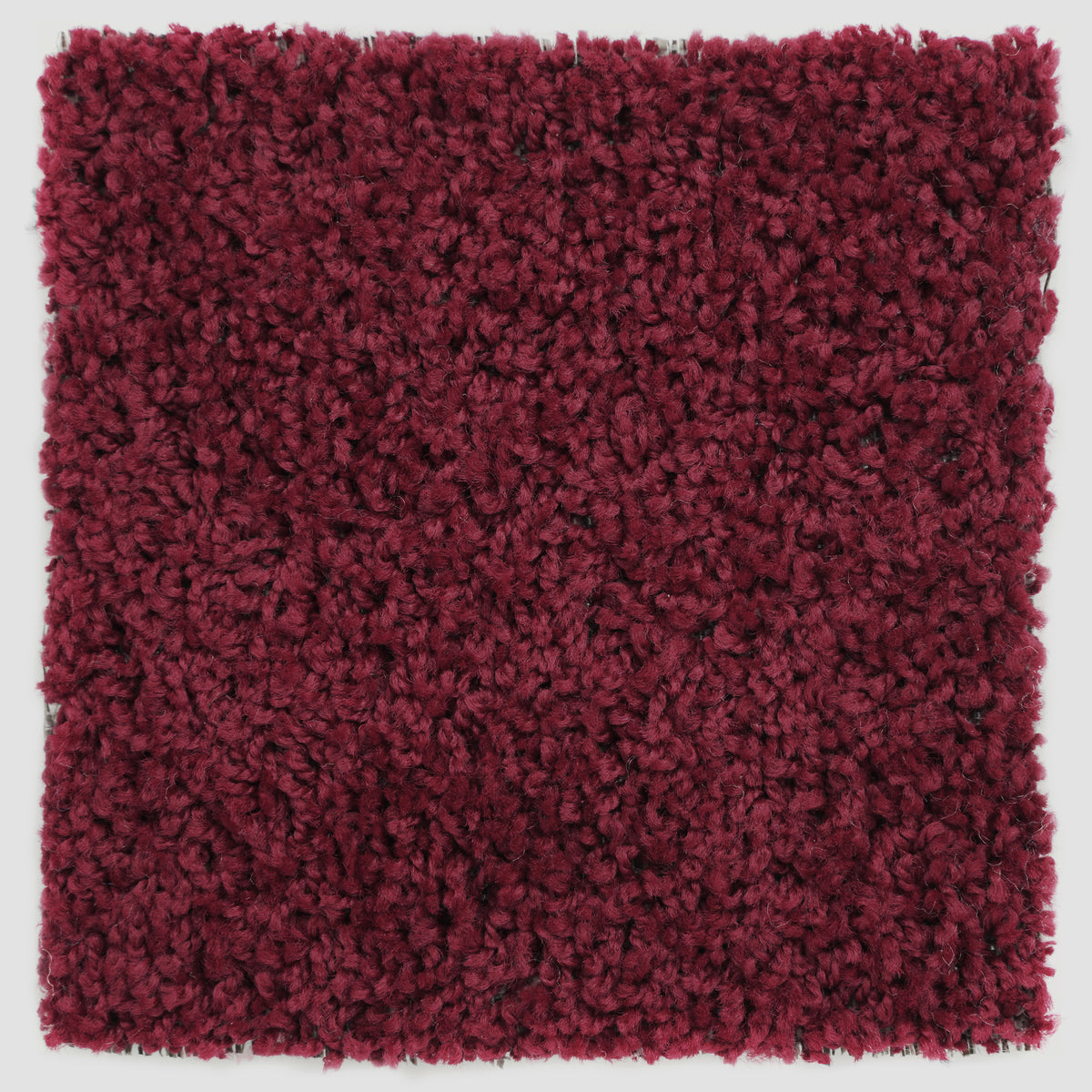 12ft Wide Plush Event Carpet - Crimson — FloorEXP