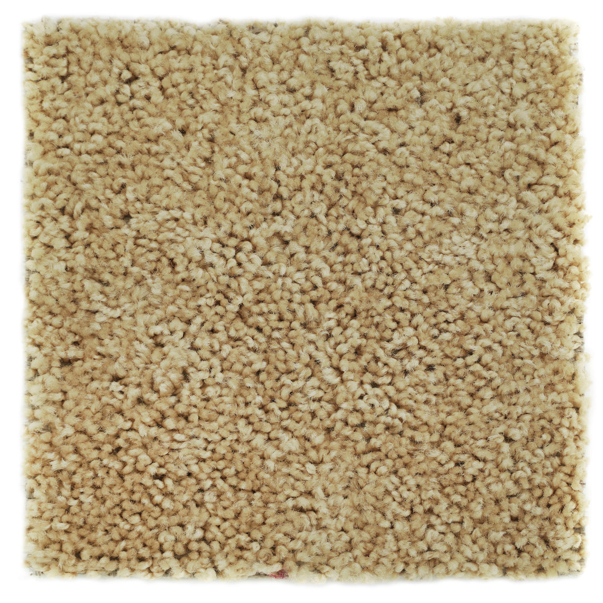 12ft Wide Plush Event Carpet - Gold — FloorEXP