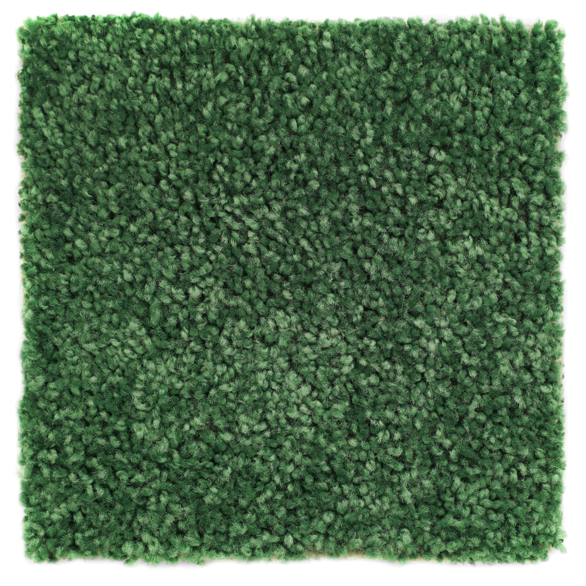 12ft Wide Plush Event Carpet - Green — FloorEXP