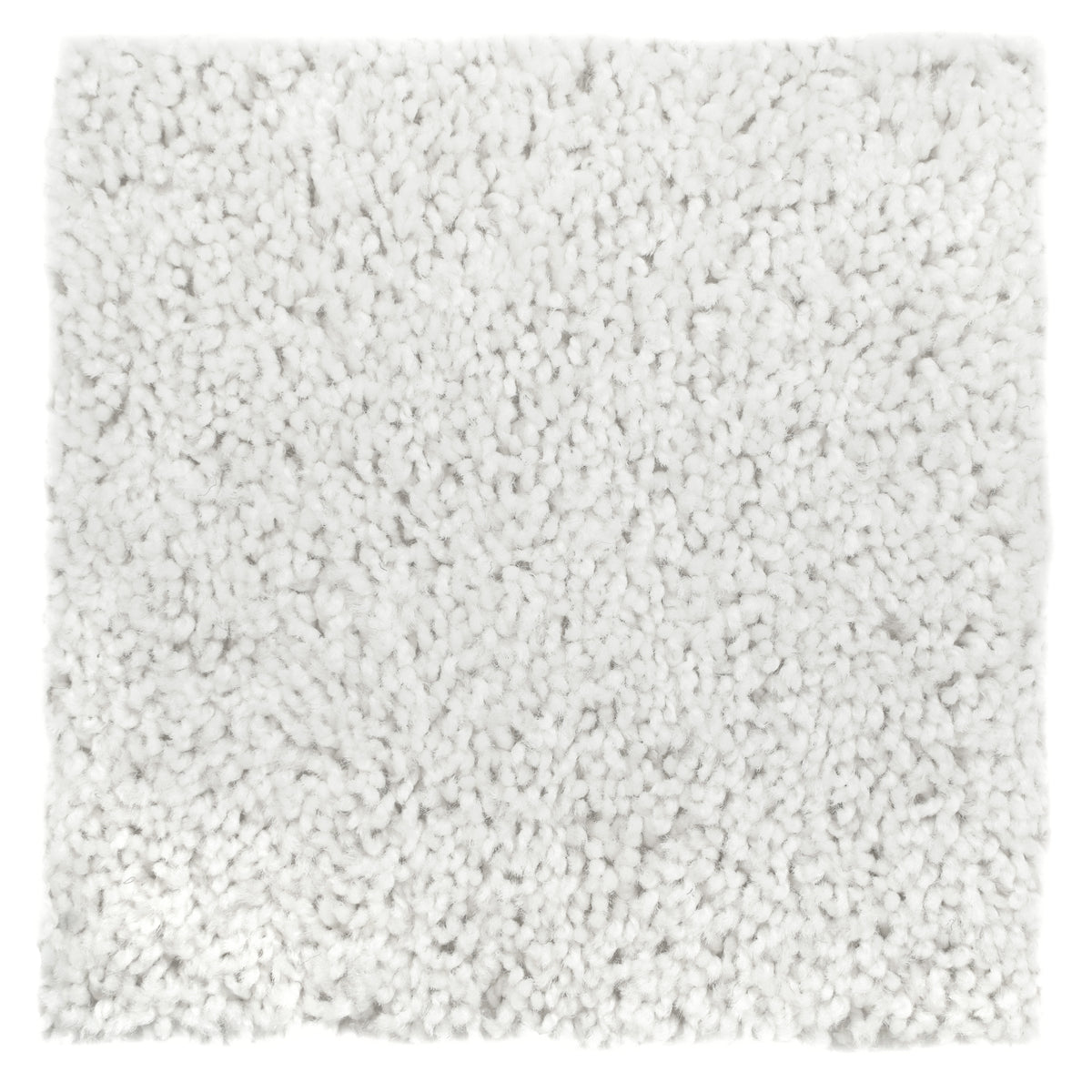 12ft Wide Plush Event Carpet - White — FloorEXP
