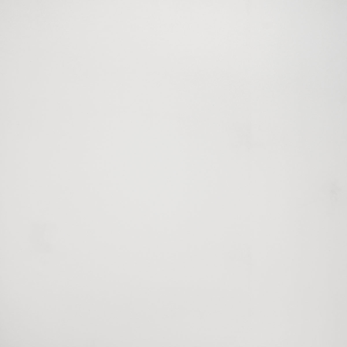 12ft Wide EventFlex Rolled Vinyl | Matte White — FloorEXP