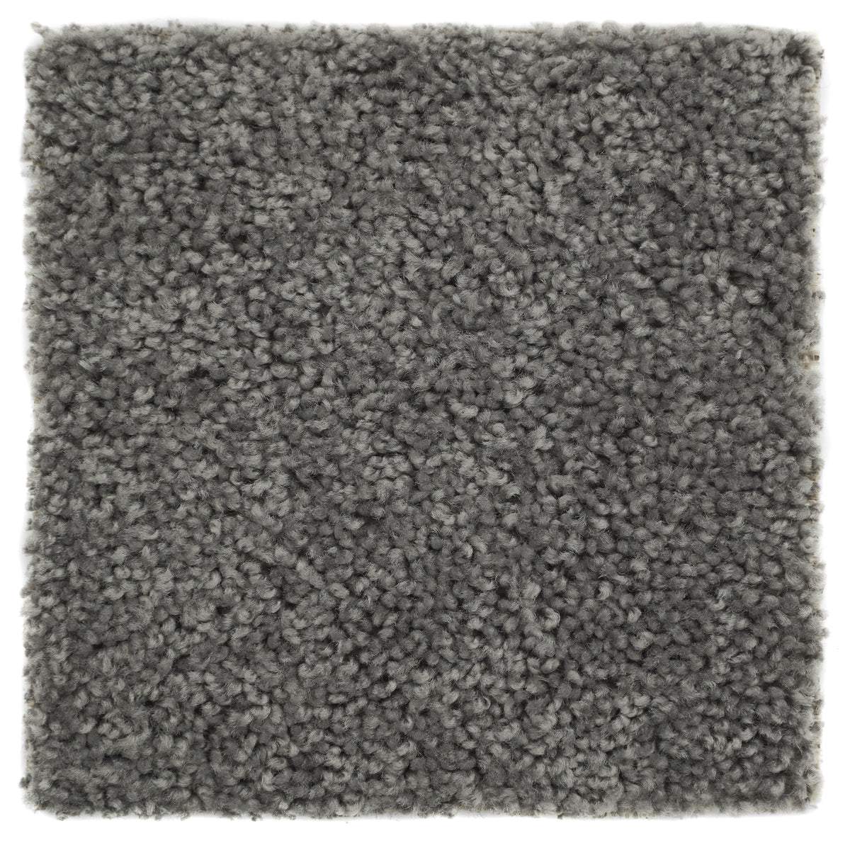 Plush Carpet Sample — FloorEXP
