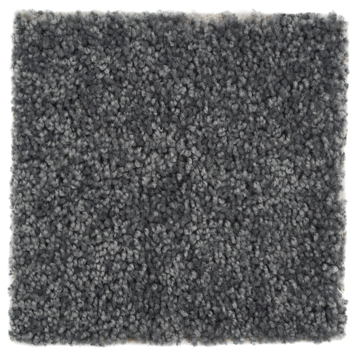12ft Wide Plush Event Carpet | Steel — FloorEXP